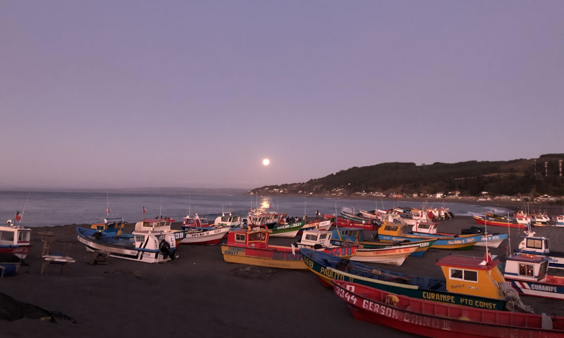 Playa de Curanipe, Pelluhue – PlayasDeChile.com