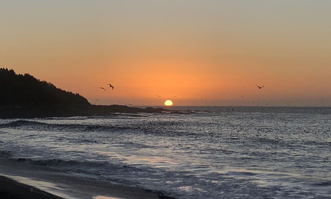 Playa de Curanipe, Pelluhue – PlayasDeChile.com